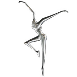 Fire Dancer Dmb Logo